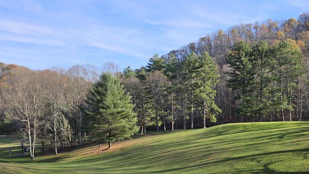 2025 Wildlife Weekend Photo Contest – Tom Pickren